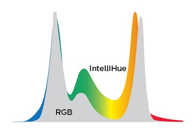 IntelliHue | Color Kinetics
