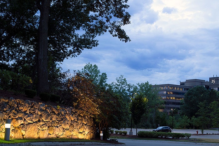 Office Park Stone Wall | Color Kinetics