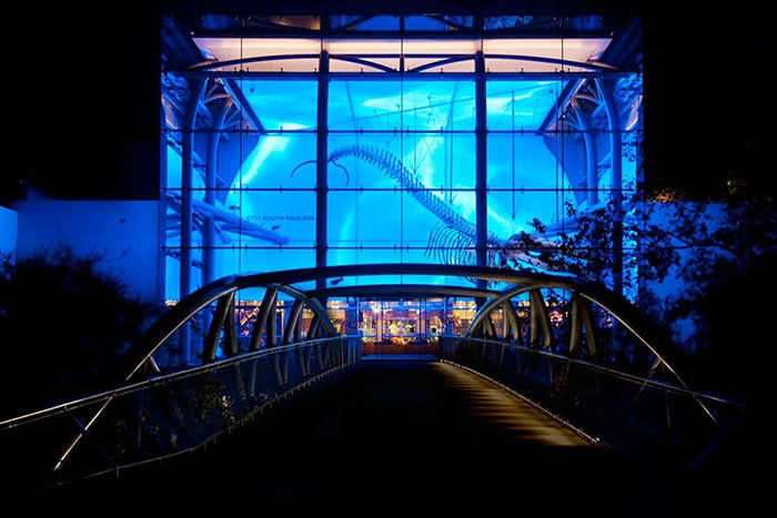 Los Angeles Natural History Museum, California, USA | Color Kinetics